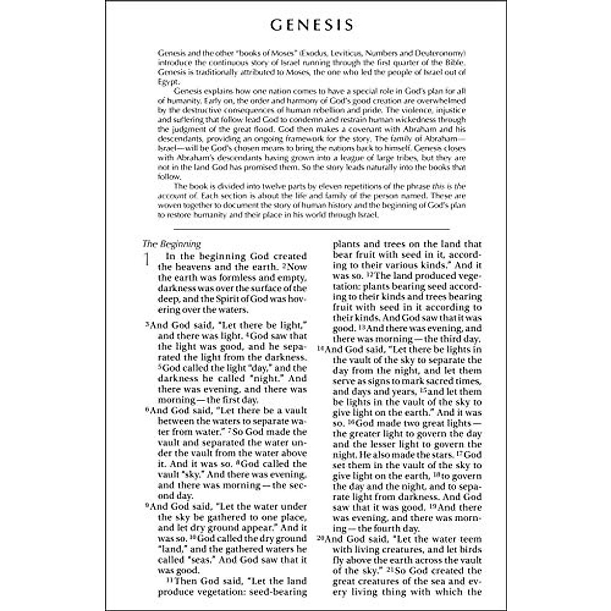 NIV, Holy Bible, Larger Print, Paperback