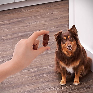 Vibrant Life Pigs in a Blanket Dog Treats, Chicken, 16oz