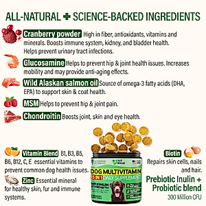 Dog Multivitamin Chewable with Glucosamine -Made in USA- Puppy & Senior Supplement - 120 Treats - Dog Vitamins and Supplements - Skin, Heart, Immunity, Hip & Joint Support + Salmon Oil + Probiotics