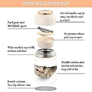 CUPADA Cat Torn Paper Food Jar, Funny 3d Insulated Hot Food Jars Vacuum 17OZ with Folding Spoon for Work Trip Picnic Camping