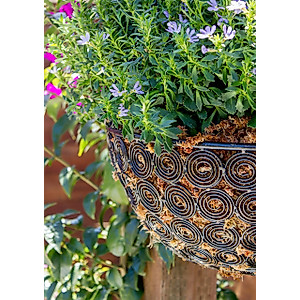 SuperMoss (22325) Orchid Sphagnum Moss Dried, Natural, 1 Pound Mini Bale