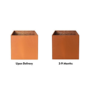 GZGNEEVL Corten Steel Planter Box Metal Square Planters Steel Large Planter Outdoor Tall Plant Durable Antique Detached for Commercial Residential Patio Deck and Backyard 26 Inch