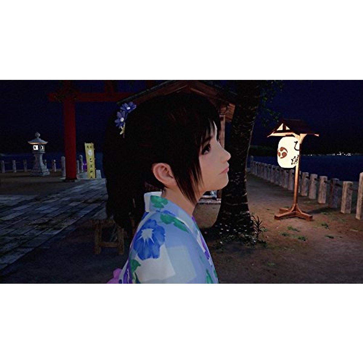 【PS4】サマーレッスン:宮本ひかり コレクション (VR専用)