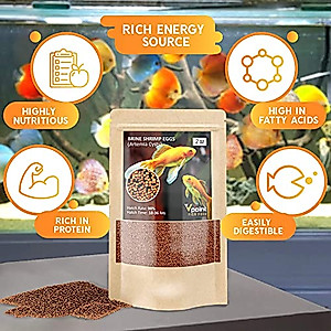 Vpoint Brine Shrimp Eggs – Artemia Cysts of 90% Hatch Rate – Aquatic Foods Baby & Fry Foods - Great Live Fish Food for Freshwater Fish, Saltwater Fish, Fry, etc. (0.25 oz)