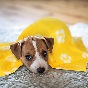 10 Pieces Pet Blankets with Paw Print Dog Cat Soft Fleece Blankets Sleep Mat Pad Bed Cover for Kitten Puppy and Other Small Animals, 24 x 28 Inch (Bright Color)