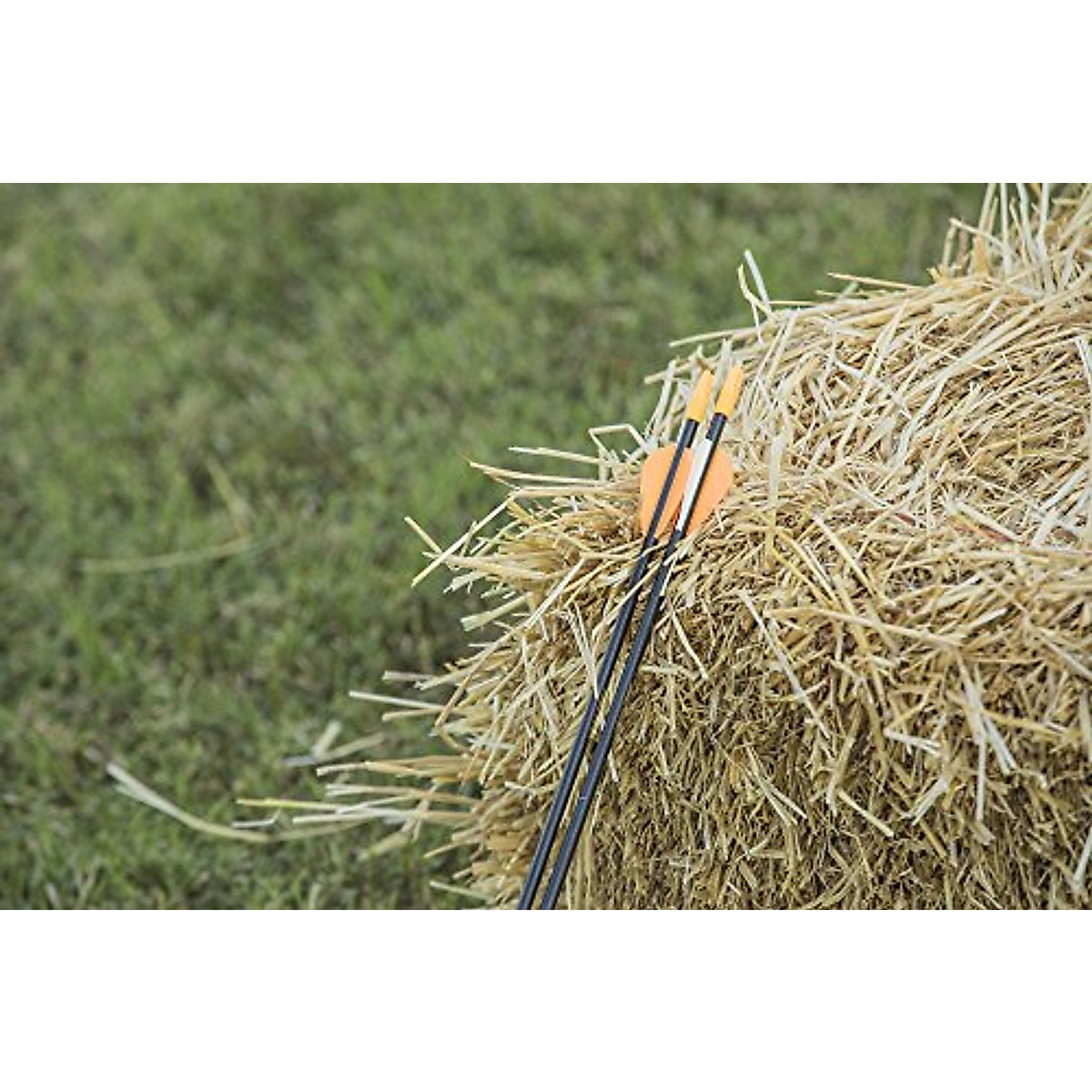 Bear Archery Youth Safety Glass Arrows, Durable & Splinter-Free Fiberglass Arrows, Nocks and Points Included, 28" Length