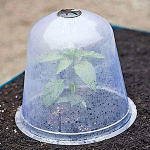 House Plants Mushroom Container 4pcs Garden Cloche Domes Plastic Plant Bell Cover Humidity Dome or Starter Pots for Plant Nursery Clear Glass Containers House Plants Indoors Live