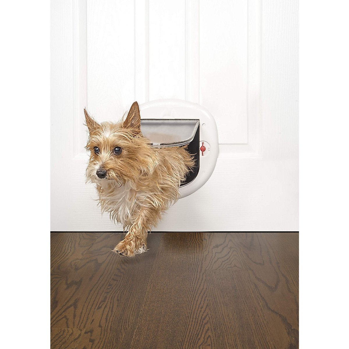 Premier Pet Locking Pet Door - 4-Way Lock, For Pets Up to 25 lbs, Energy Efficient with Weather Stripping, Clear Hard Flap, Easy DIY Installation