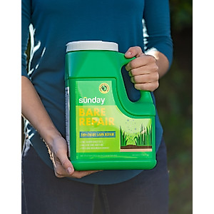 Sunday Bare Repair Sun and Shade Grass Seed Spot Treatment - Grass Seed for Shade and Hard to Grow Areas - Lawn Patch Repair That Works in 14 Days or Less - 3.75lb Jug (Covers 55 Sq Ft)