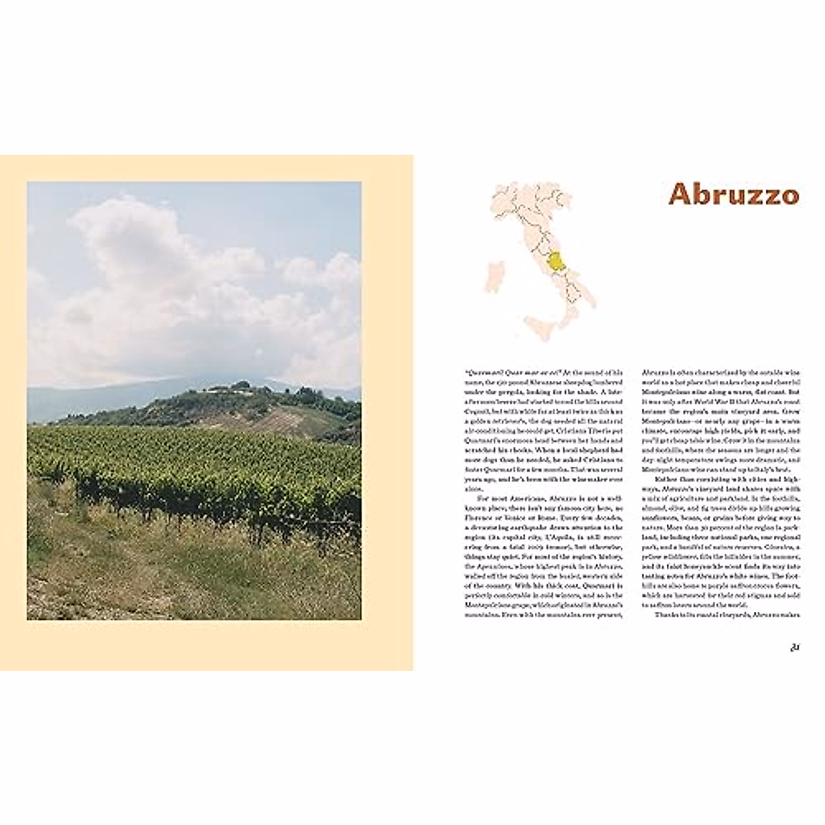 Italian Wine: The History, Regions, and Grapes of an Iconic Wine Country