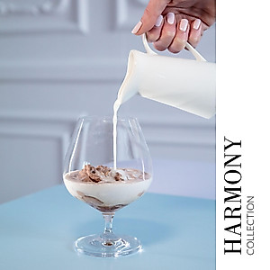 Krosno Brandy Cognac Snifter Glasses | Set of 6 | 18.6 oz | Harmony Collection | Perfect for Home Restaurants and Parties | Dishwasher Safe | Gift Idea | Made in Europe