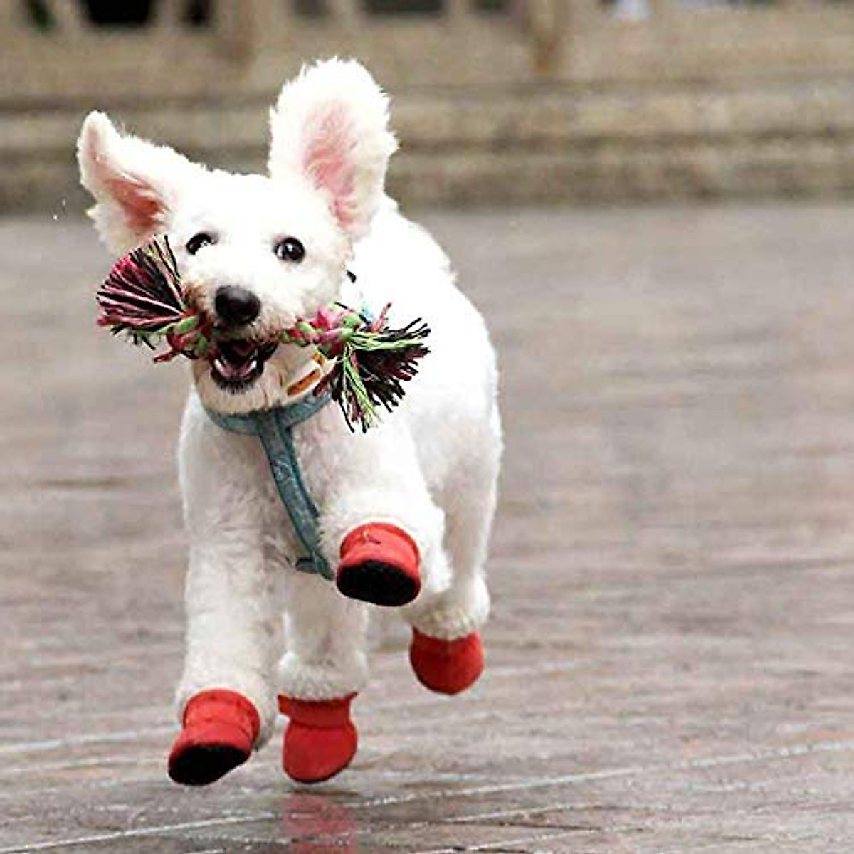 Hdwk&Hped Warm Small Dog Snow Boots Waterproof Suede Puppy Cat Booties Anti-Skid Pet Winter Shoes Red #2