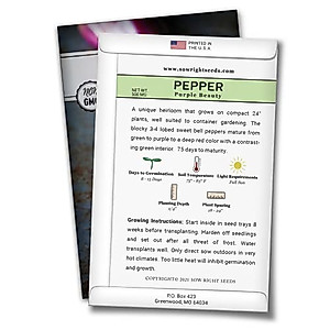 Sow Right Seeds - Purple Beauty Pepper Seeds for Planting - Non-GMO Heirloom Packet with Instructions to Plant and Grow an Outdoor Home Vegetable Garden - Sweet Bell Variety, Violet Purple (1)