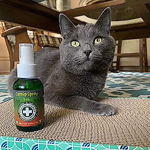 Meowijuana | 3 Oz. Premium Catnip Spray | Organic | High Potency | Use On Cat Toys, Teasers, and Scratchers | Grown in The USA | Feline and Cat Lover Approved