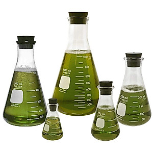 Corning Pyrex #4980-PACK(RS), Narrow Mouth Erlenmeyer Flask Set with Rubber Stoppers, 5 Sizes - 50, 125, 250, 500, 1000ml