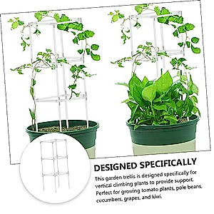 1 Set Vine Support Pillars Decorative Plants Monstera Plant Pot Faux Plant House Plants Artificial Garden Plant Support Stakes Plant Support Ring Plant Trellis Garden Trellis Rose