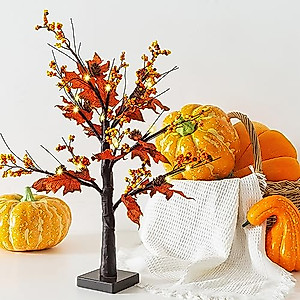 Ethlomoer 2 Pack 24 Inch Artificial Fall Maple Tree, Prelit 48 LEDs for Thanksgiving Decorations Fall Decor, Battery Operated with Timer, Lighted Autumn Tabletop Tree for Harvest Home Indoor Decor