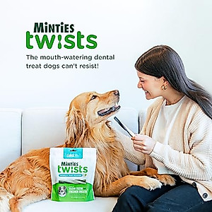 Minties Dental Twists for Dogs, Vet-Recommended Vanilla-Flavored Dental Chews, Dental Treats Clean Teeth, Fight Bad Breath and Removes Plaque and Tartar, Green, 12 Ounce (Pack of 1)