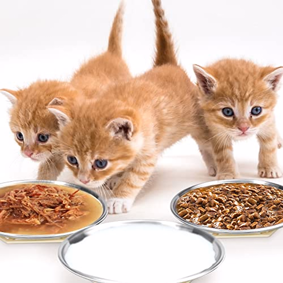 Stainless Steel Cat Dishes for Food and Water Bowls for Small Pets Relief of Whisker Fatigue -2 Sets Shallow Style