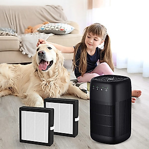 FCFMY 4 Packs H13 True HEPA Replacement Filters Compatible with Afloia Q10 Air Cleaner Purifier and Dehumidifier 2-in-1