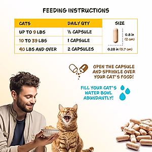Vegan Fiber Capsules for Cats Digestive Supplement, Ovatasyl 500 mg Psyllium Seed Husks, Constipation, Hairballs, Pet Essentials & Wellbeing, 100 Vegan Capsules