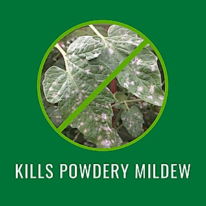 Natria Houseplant Insect Killer, Ready-to-Use, 24 oz