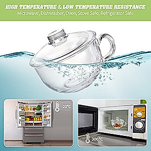 Glass Cereal Bowl Glass Soup Bowl with Handle, Clear Small Bowls with Glass Lid Oatmeal Breakfast Bowls Microwave Safe Glassware Yogurt Bowl for Dessert Pasta Rice,500ml/16 oz