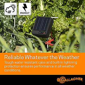 Gallagher S6 Solar Electric Fence Charger | Protect Your Backyard and Pets | Solar Lithium Technology, 0.06 Stored Joule Energizer | Unique Post Mounting System | Portable and Super Tough