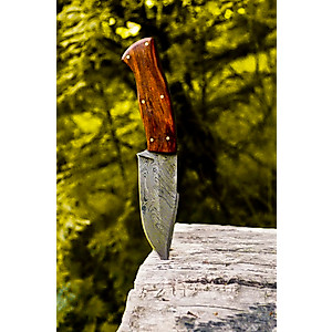 Nooraki HK-319 Custom Handmade Damascus Steel Knife - Full Tang Rosewood Handle, with Leather Sheath 8 Overall Hunting Skinning Survival Knife (Damascus Steel)