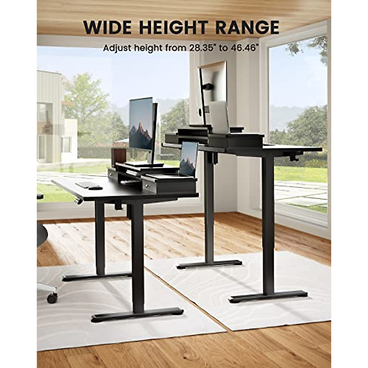 Ergear ErGear Electric Standing Desk with Double Drawers, 48x24 Inches Adjustable Height Sit Stand Up Desk, Home Office Desk Computer Workstation with Storage Shelf, Black (EGESD5B-1)