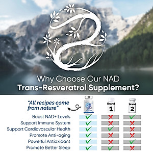 Zenlifer 240 Capsules NAD+ 1000MG Resveratrol Boosting Supplement - More Efficient Nicotinamide Riboside for Cellular Energy Metabolism & Repair, Vitality & Healthy Aging