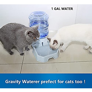 Automatic Dog Cat Water Dispenser,Gravity Multi Pet Drinking Fountain,Set with Pet Bowl for Medium Dog Puppy Kitten, 1 Gallon/ 3.8L Capacity Not for Large Pets (Waterer)