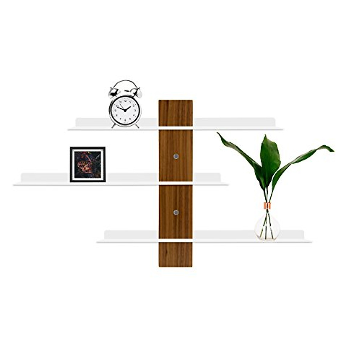 Three By Three Seattle Slideshow Display Shelf, Walnut