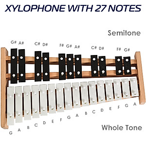 MINIARTIS Glockenspiel Xylophone | Full Size Glockenspiel Xylophone 27 Note Metal Keys for Adults & Kids | Percussion Instrument Includes 2 Wooden Beaters and Carry Case