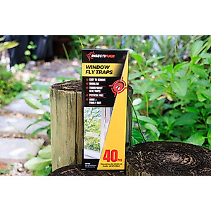 Insectifuge 40Pcs Window Fly Traps Indoor Sticky Fruit Fly Traps Indoor for Home - Fly Catcher Indoor Fly Strips, Fly Paper Indoor for Home Flying Insect Trap, Indoor Fly Trap for Home Sticky Bug Trap