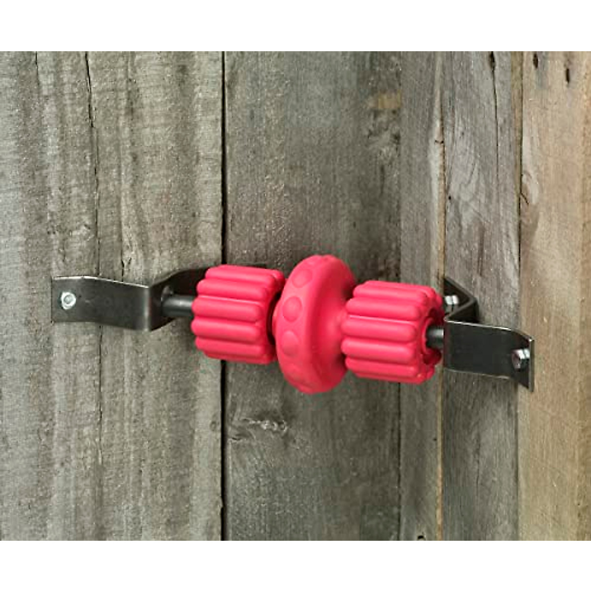 Horsemen's Pride Horse Pas-a-Fier Stall Toy for Horses