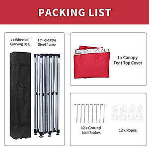 10 FT X 10 FT Double Hardtop Gazebo Galvanized Steel Outdoor Patio Gazebo Aluminum Frame Double Vented Roof Pergolas with Curtains (Red)