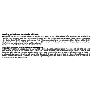 Royal Canin Feline Health Nutrition Digest Sensitive Loaf In Sauce Canned Cat Food, 3 oz, Case of 24