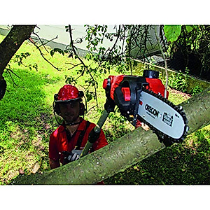 EINHELL GE-HC Power X-Change 18-Volt Cordless Telescoping Garden Multi-Tool, Interchangeable 8-Inch Pole Saw and 18-Inch Hedge Trimmer, Tool Only (Battery and Charger Not Included)