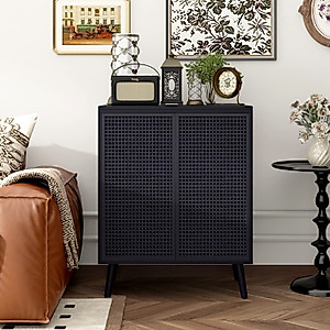 JZXSHD Metal Rattan Accent Cabinet - 2 Door Buffet Storage for Kitchen, Living Room and Hallway, Black