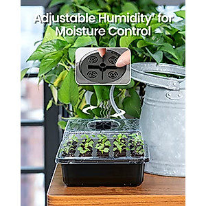 iDOO Seed Starter Tray with Grow Sponges, 20 Cells Reusable Seed Starter Kit with Humidity Dome, Base Mini Greenhouse Germination Kit for Seeds Growing Starting