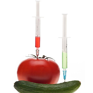 Arrebol 3ml/cc Lab Consumables with Luer Lock 23G1inch Individually Wrapped (25Pack)