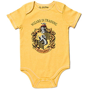 Harry Potter Gryffindor Hufflepuff Ravenclaw Slytherin Newborn Baby Boys 4 Pack Bodysuits 6-9 Months