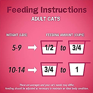 Purina Friskies Dry Cat Food, Gravy Swirlers - 16 lb. Bag