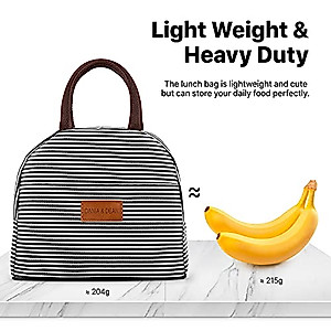 DANIA & DEAN Durable Insulated Lunch Bag for Women/Men/Kids Double Zippers Wide Open Bag Leakproof Thermal and Cooler Reusable Lunch Box for Office School Outdoor (Black and White Stripes)