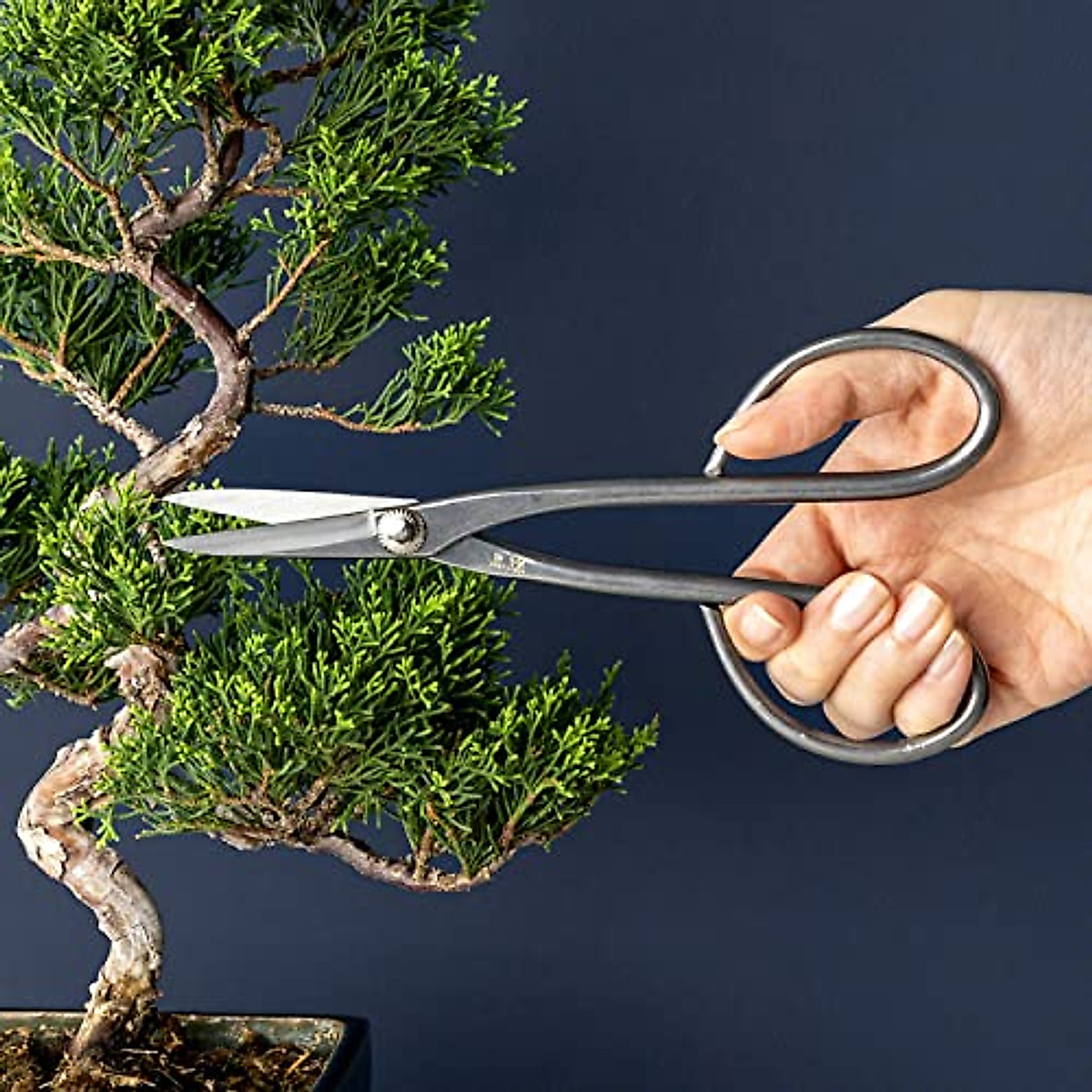 Wazakura Yasugi Stainless Steel Made in Japan Satsuki Bonsai Scissors 7.09" (180 mm), Hasami Pruning and Trimming Shears, Japanese Gardening Tools - Yasugi Stainless Steel Satsuki