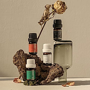 Dionel Secret Love Romantic Rose inner perfume fragrance oil for underwear women Long-lasting feminine Fragrance with rich and rose Scent 5ml 0.17fl.oz