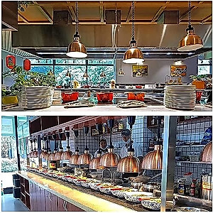 LINKANRUO Hanging Food Heat Lamp, Food Warmer Lamp 250W, Commercial Food Warmer Lights Adjustable, Buffet Heating Lamp for Restaurant Buffet Kitchen Pizza Warmer Lamps(1 Pack)