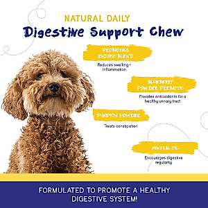 PupGrade 2-Pack Daily Multivitamin & Digestive Support Supplement for Dogs - All-in-One Formula for Digestive, Immune System, Skin & Coat Health- with Probiotics, Prebiotics, Enzymes - Made in USA - 9