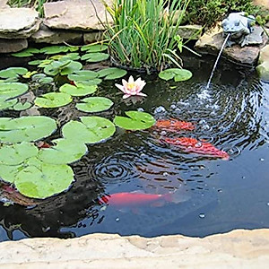 ESCOLL Underlay Pond Liner Cut 2x2m 2.5x2.5m 3x2m 5x5m 6x5m Garden Pond Film Weather Resistant HDPE Swimming Membrane for Fish Ponds, Streams, Fountains, Water Features, Waterfall